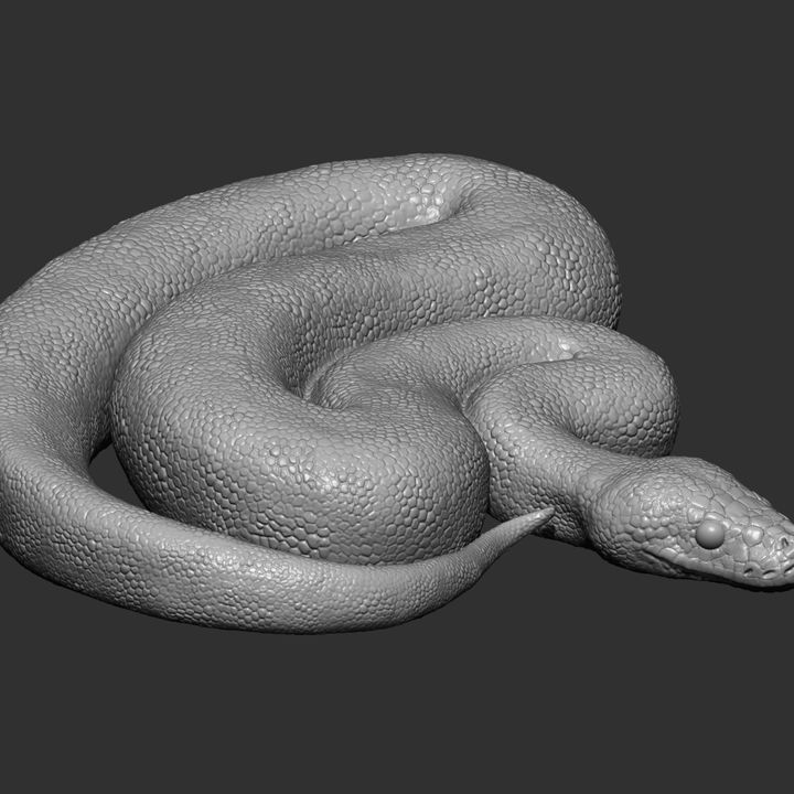 3D Printable Ball Pythons by Alexander3dart